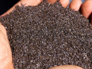 Gallery - Garrett Wildflower Seed Farm