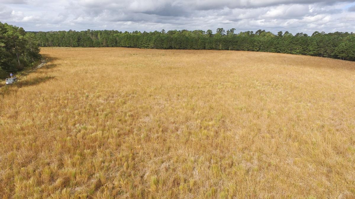 Gallery - Garrett Wildflower Seed Farm