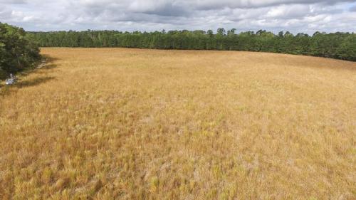 Gallery - Garrett Wildflower Seed Farm